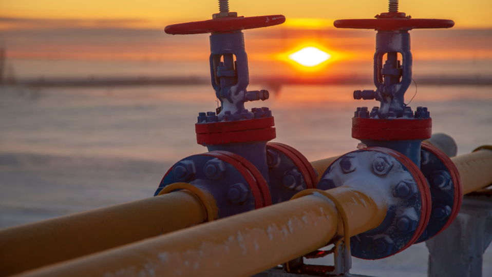 OIL AND GAS INDUSTRY IN EGYPT - Special Piping Materials